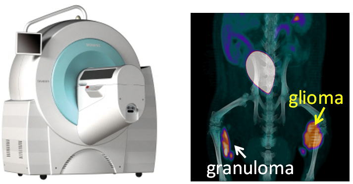 Inveonオープン化